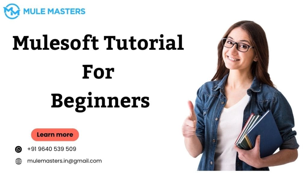 Basics Mulesoft Tutorial for Beginners Examples Free Videos 1